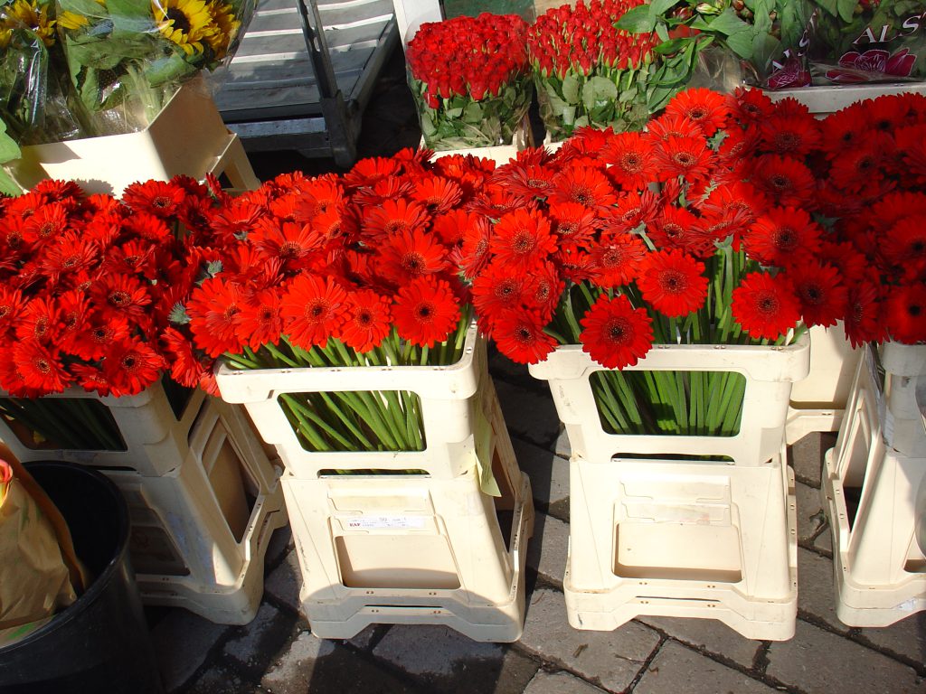 Bloemenfust voor Royal Flora Holland - WeLLDesign